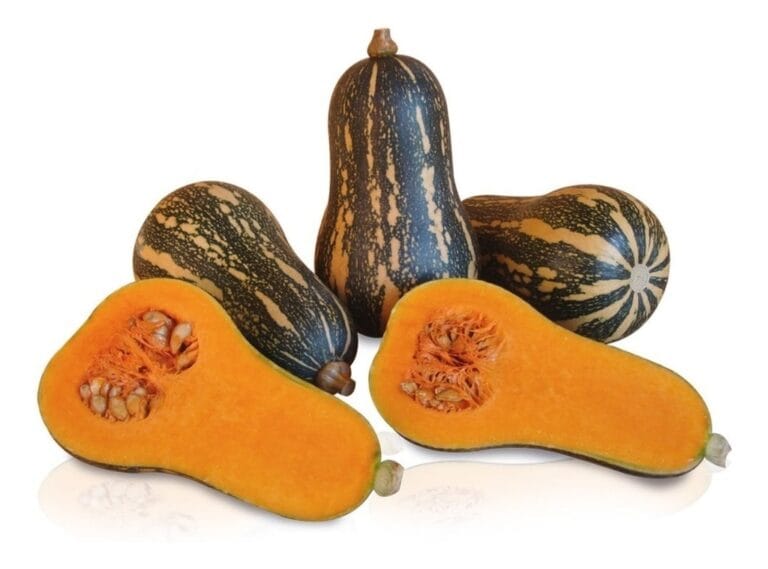 Ahuyama Zapayo - Fruver Home